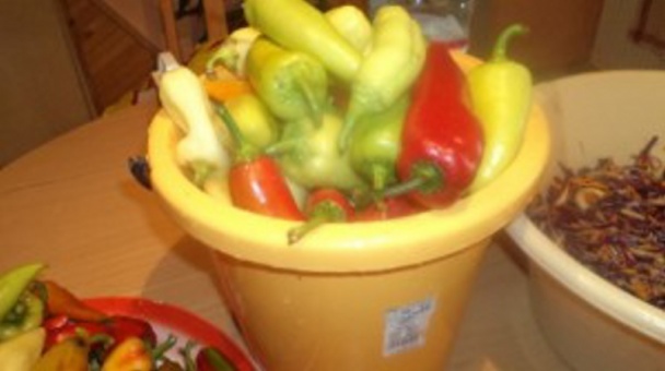 Baranie rohy s čalamádou (fotorecept) - recept | Varecha.sk