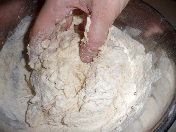 Rožok domáci (Rožkus Domesticus) (fotopostup) - recept | Varecha.sk