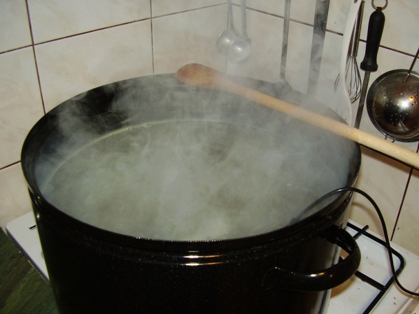 Domáce pivo. - recept | Varecha.sk