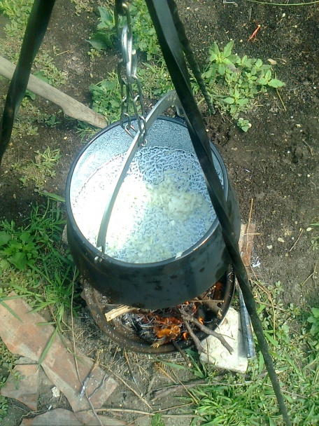 Ragú polievka s estragónom (fotorecept) - recept | Varecha.sk