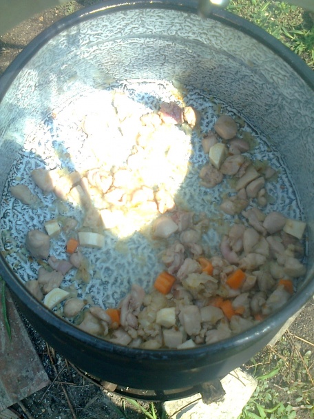 Ragú polievka s estragónom (fotorecept) - recept | Varecha.sk