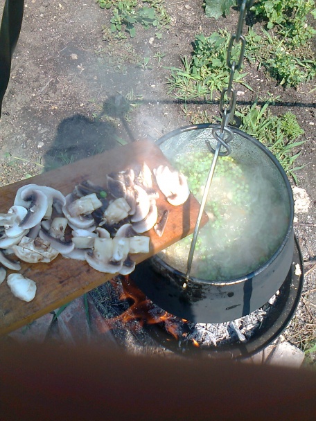 Ragú polievka s estragónom (fotorecept) - recept | Varecha.sk