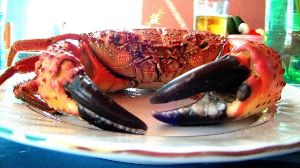 Krab varený - recept | Varecha.sk